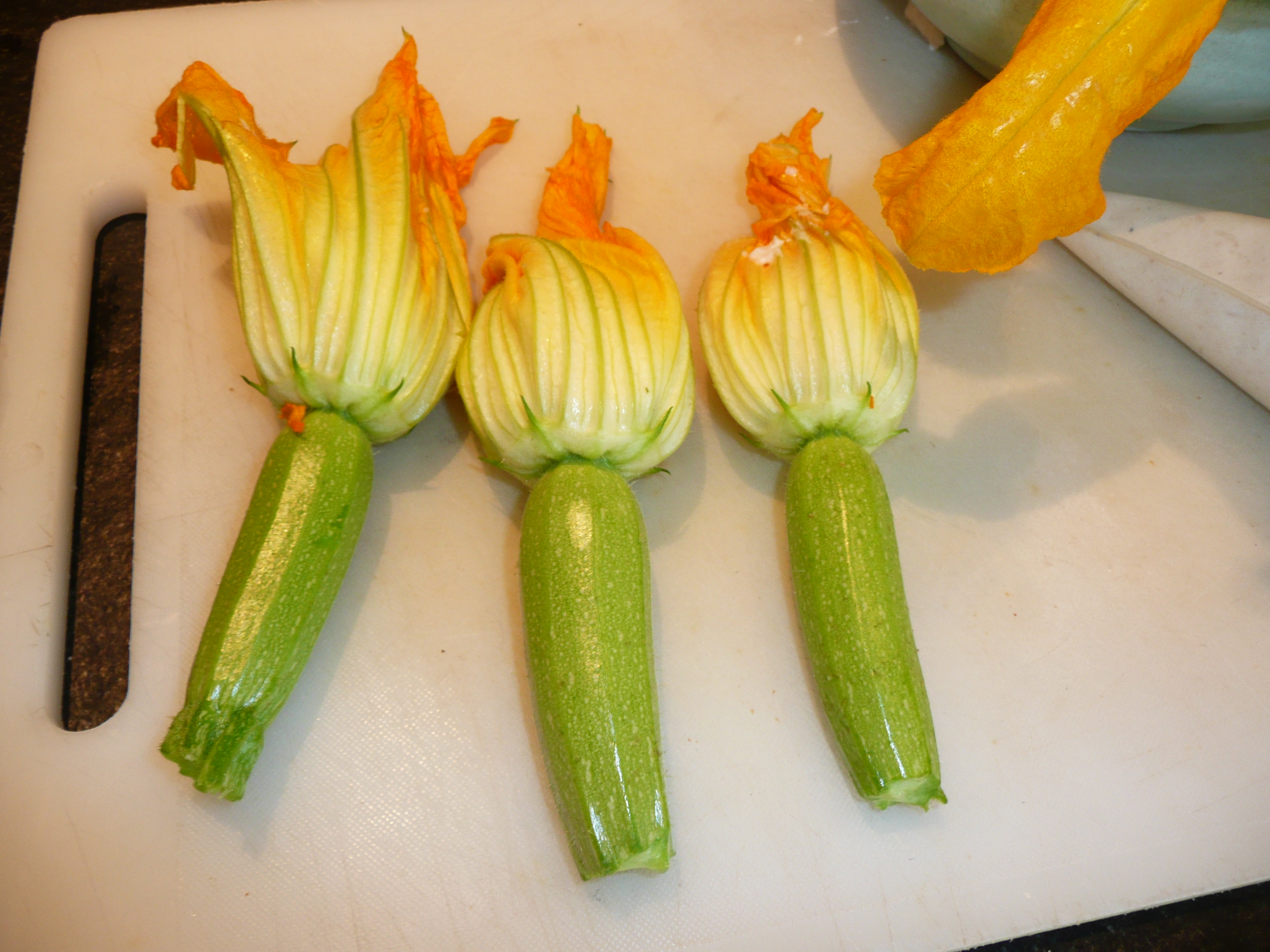 courgette fleur – Cuisine Niçoise